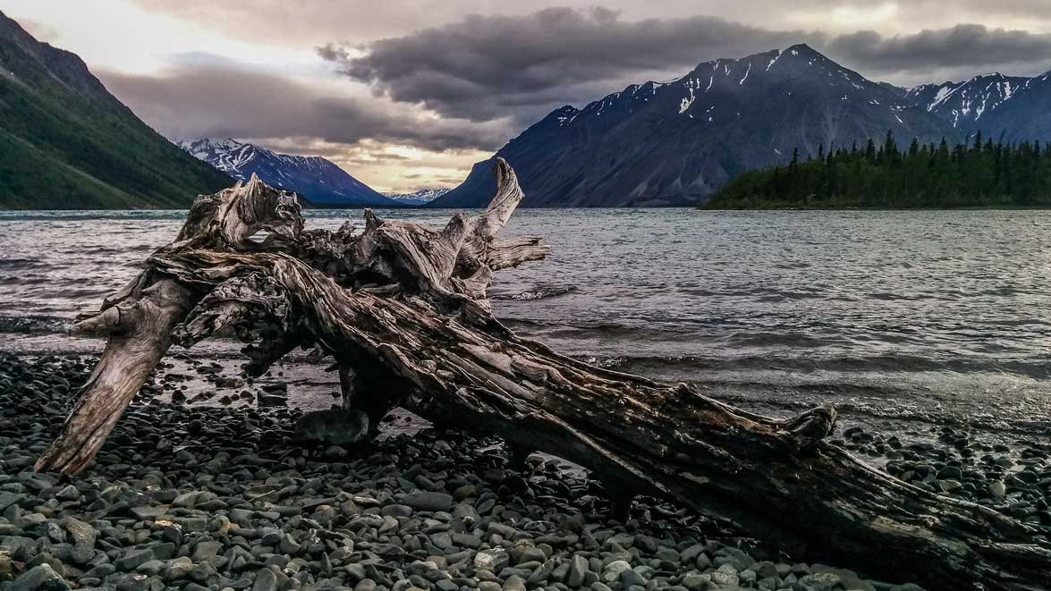 kat-lake-log – Feral Photography