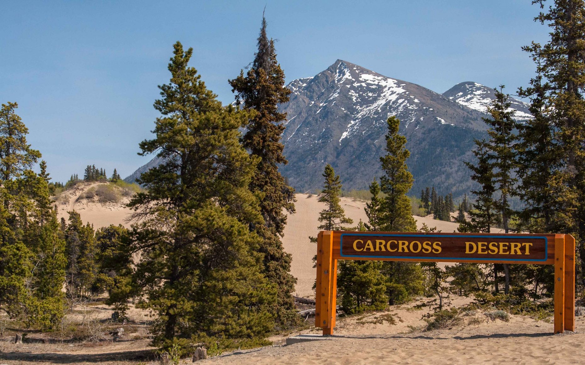 low res carcross desert – Feral Photography
